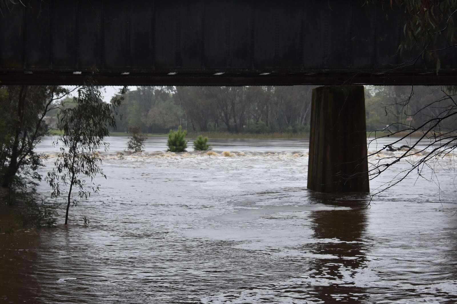 Broken system review finished | Country News