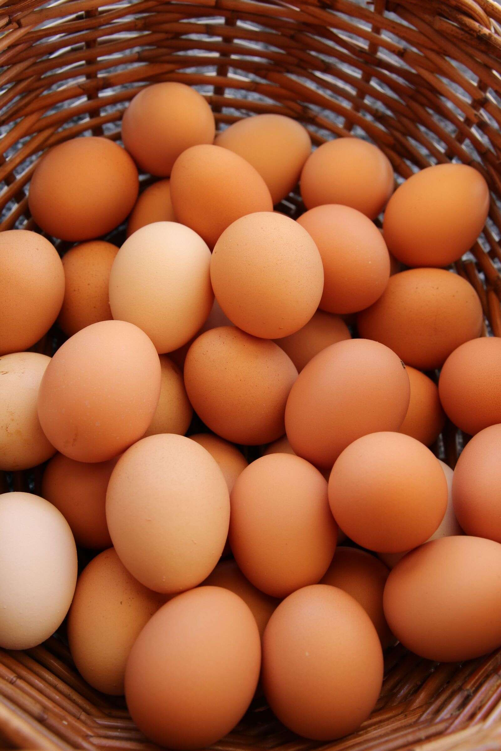 Eggs-ellent views sought | Country News