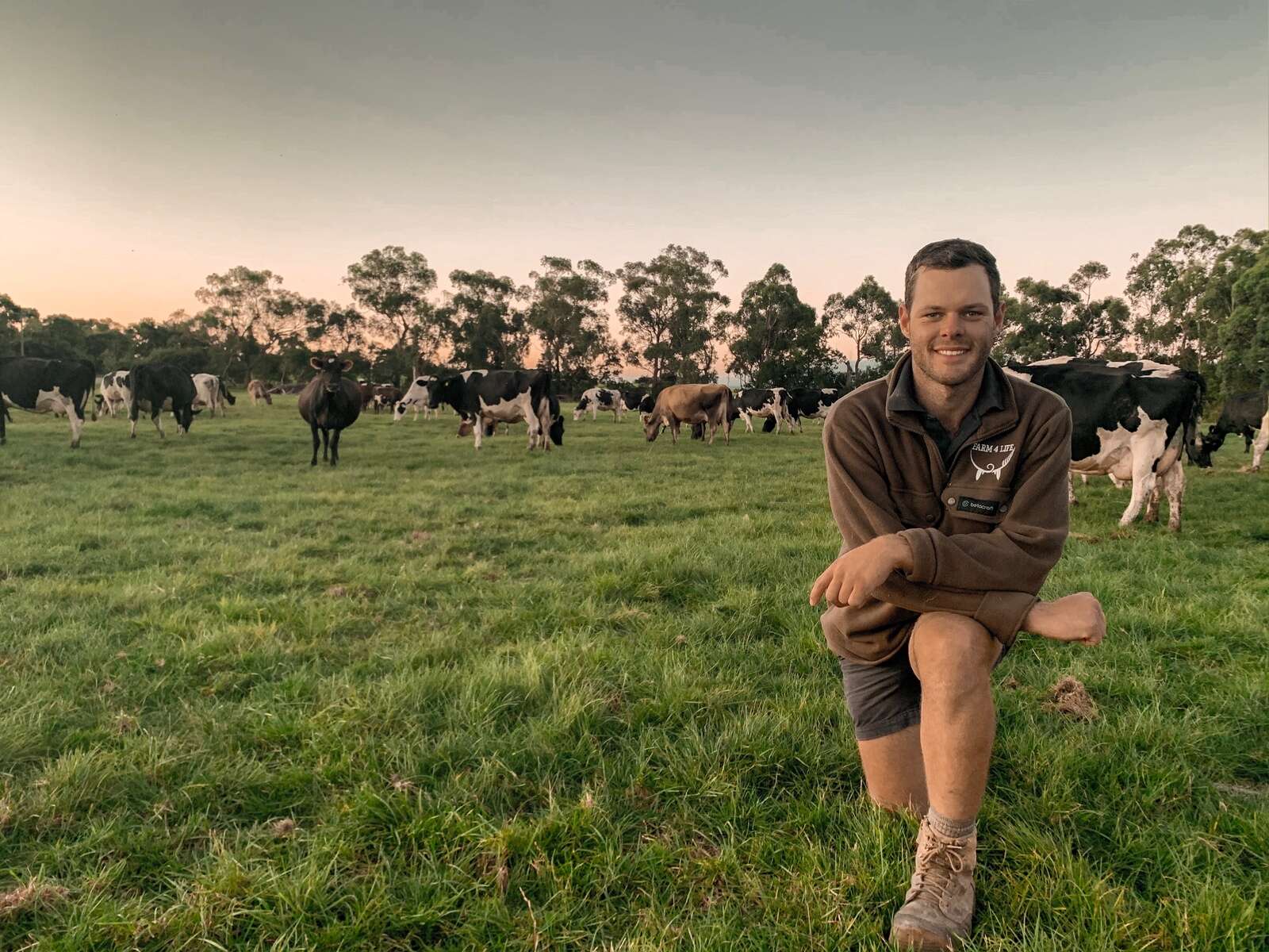 New tool helps compare heifers | Dairy News Australia