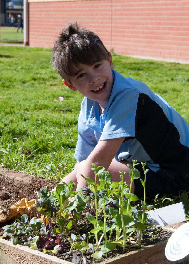 Rochester Primary School | Riverine Herald