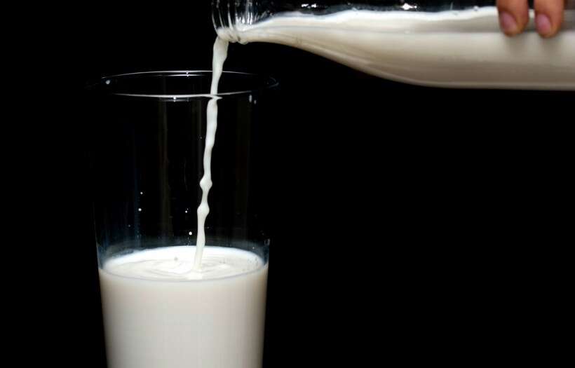 Saputo lifts opening milk price | Country News