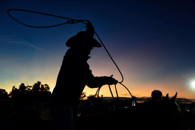 Buckle up for the time of your life at Shepparton Rodeo | Shepparton News