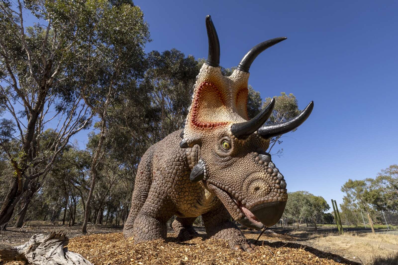 Dinosaurs roar to life in Ky! | Riverine Herald