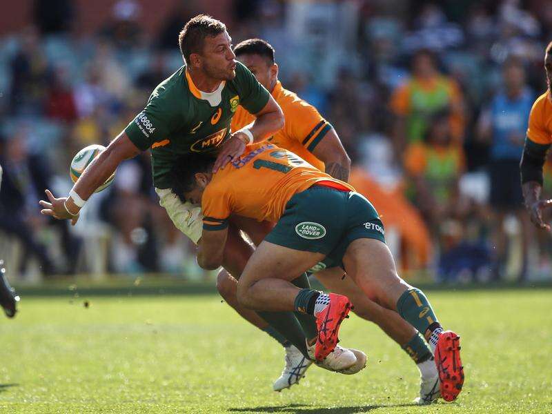 Springboks lose Pollard, Am for rest of RC | Dairy News Australia