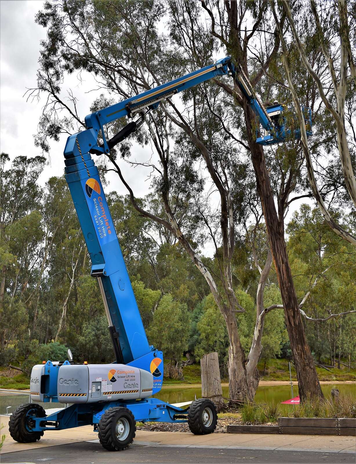 Tree-ting the root of the problem | Country News