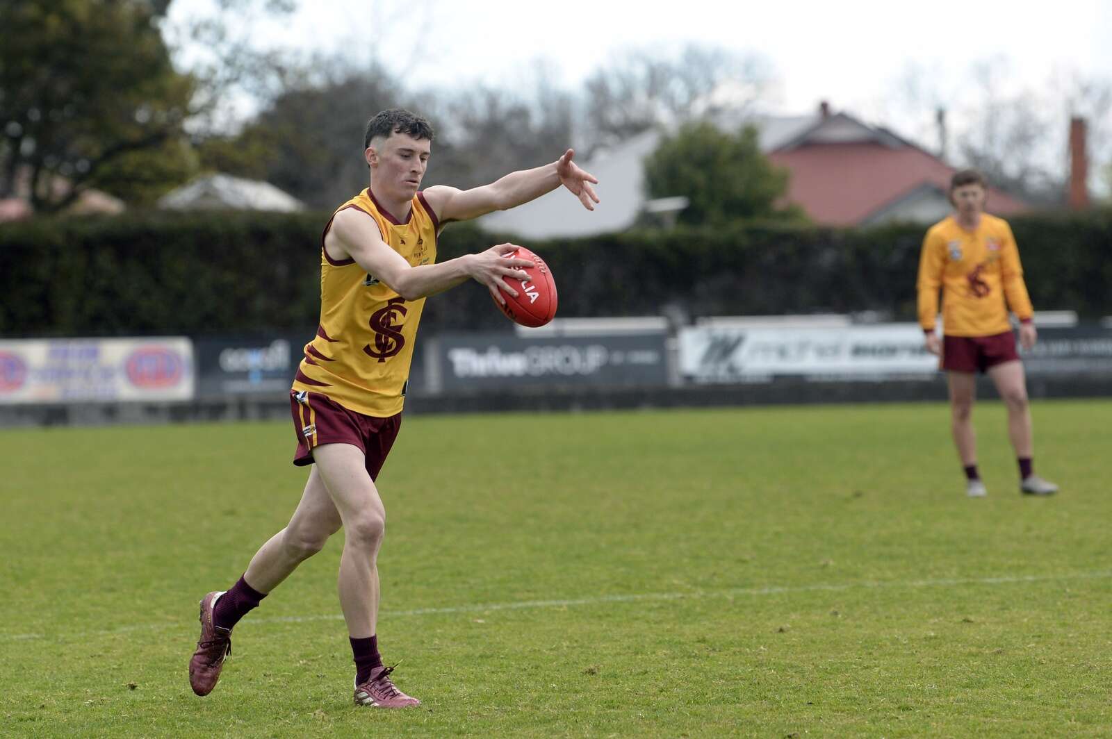 Murray Bushrangers claim the Ash-endancy in Tassie | Riverine Herald