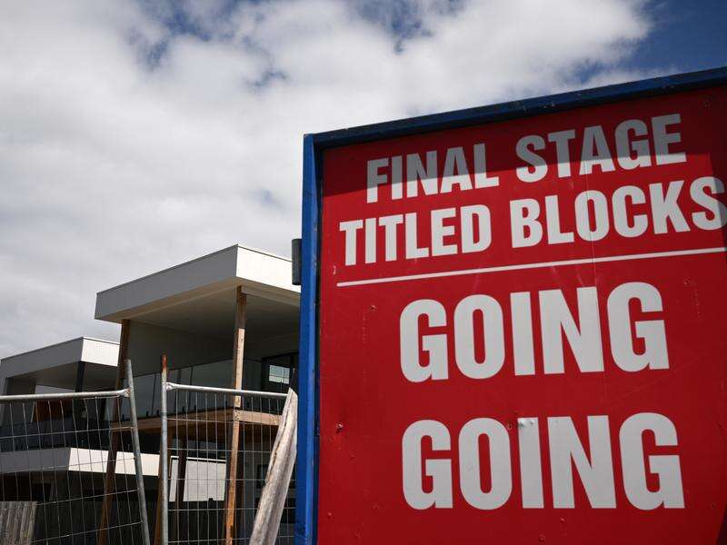 Rates kept on hold in surprise Reserve Bank decision | Country News