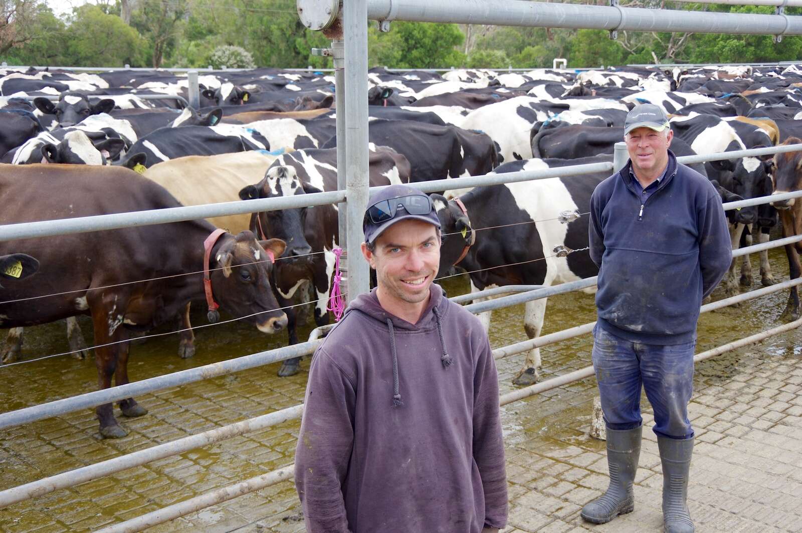 No love for lost labour as family leaves industry | Dairy News Australia