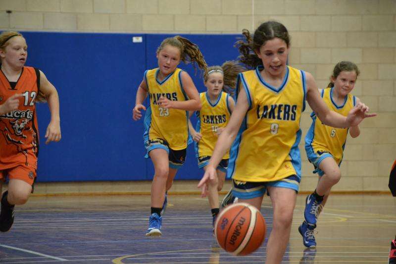 Multisport stadium to be detailed | Shepparton News