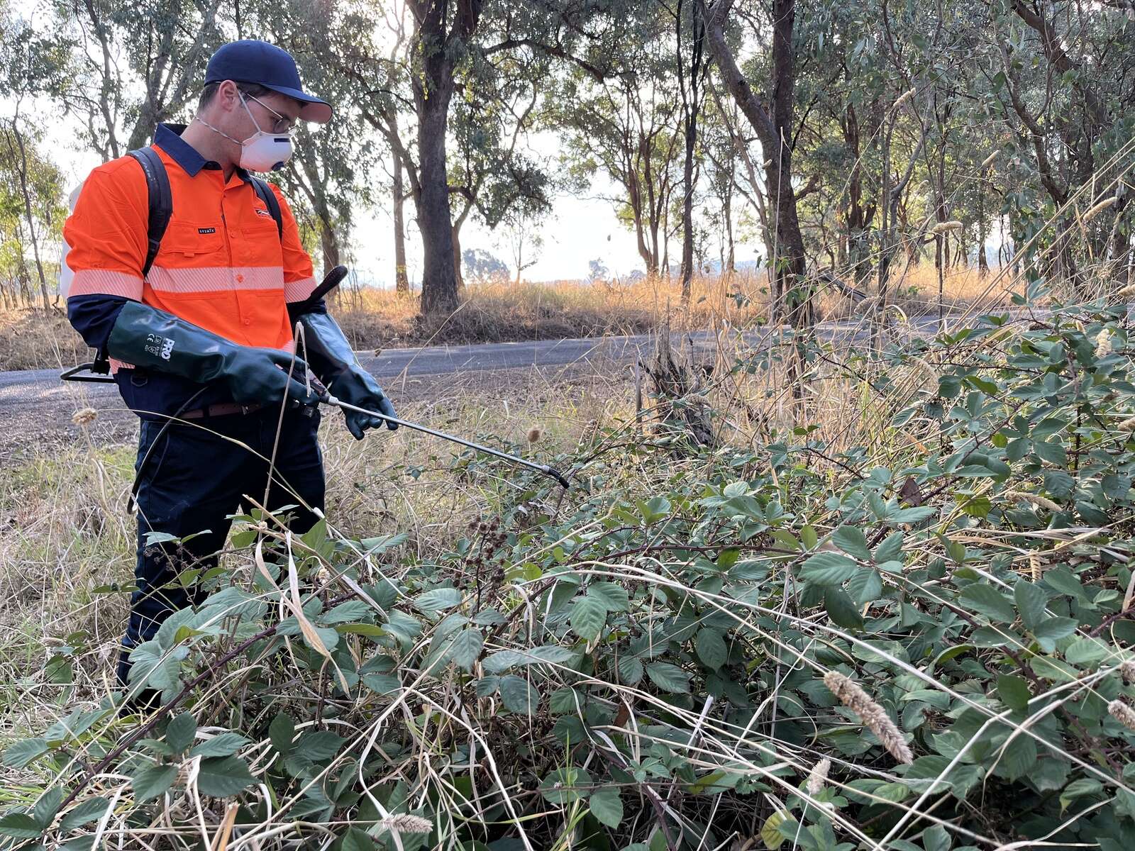 Prune It Back | Synergy and community | Country News