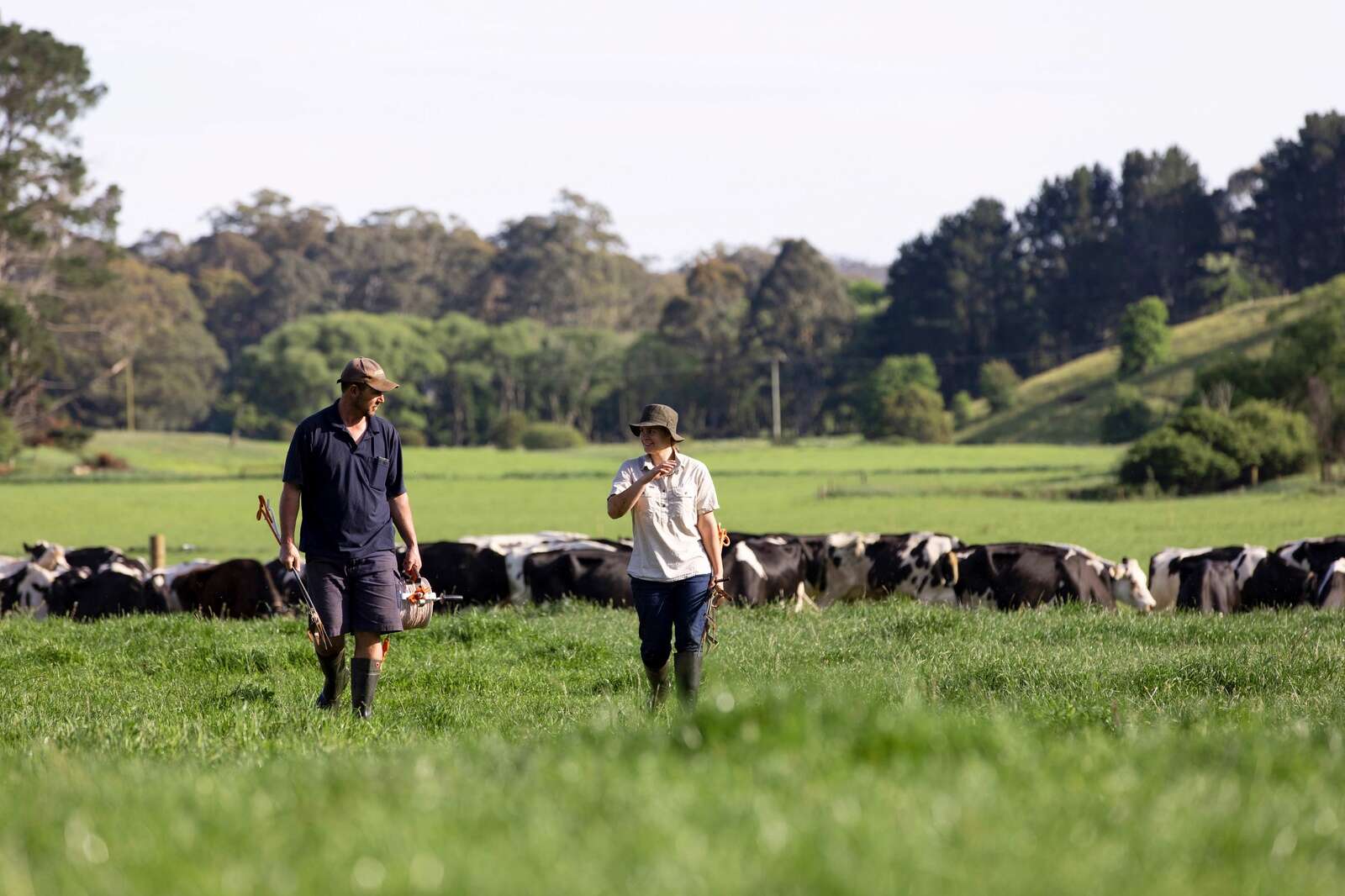 Lending a helping hoof to the NSW dairy industry | Dairy News Australia