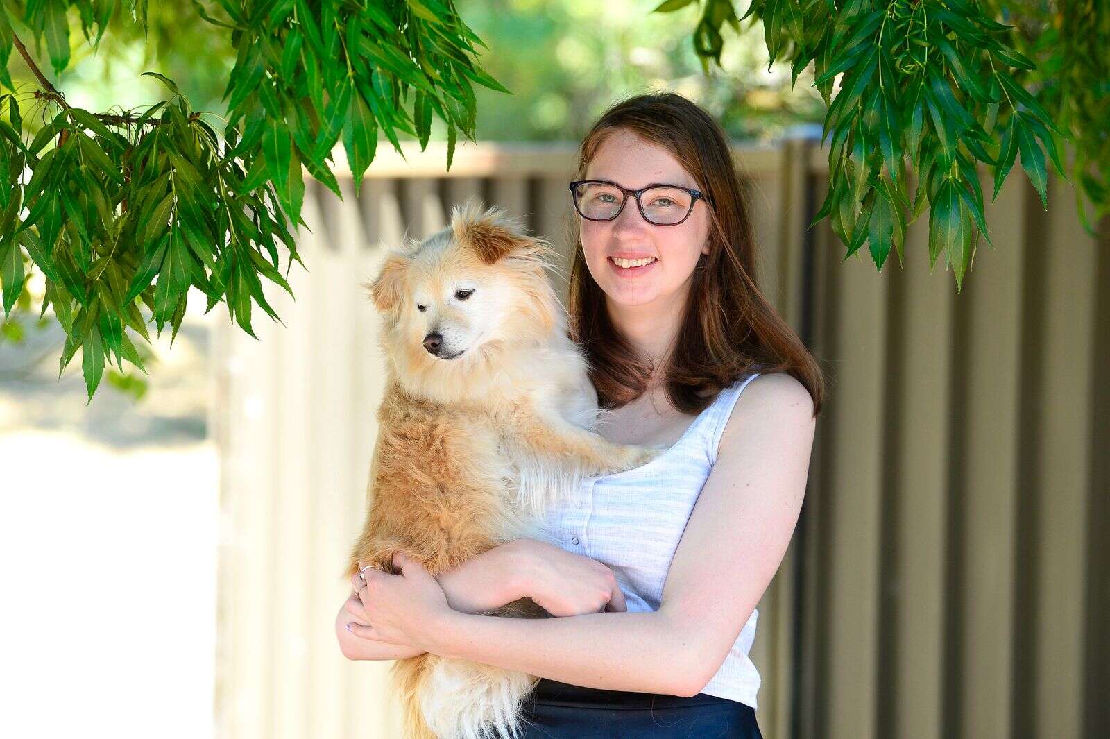 ‘It’ll take two years to heal’: Road trauma warning for learner drivers ...