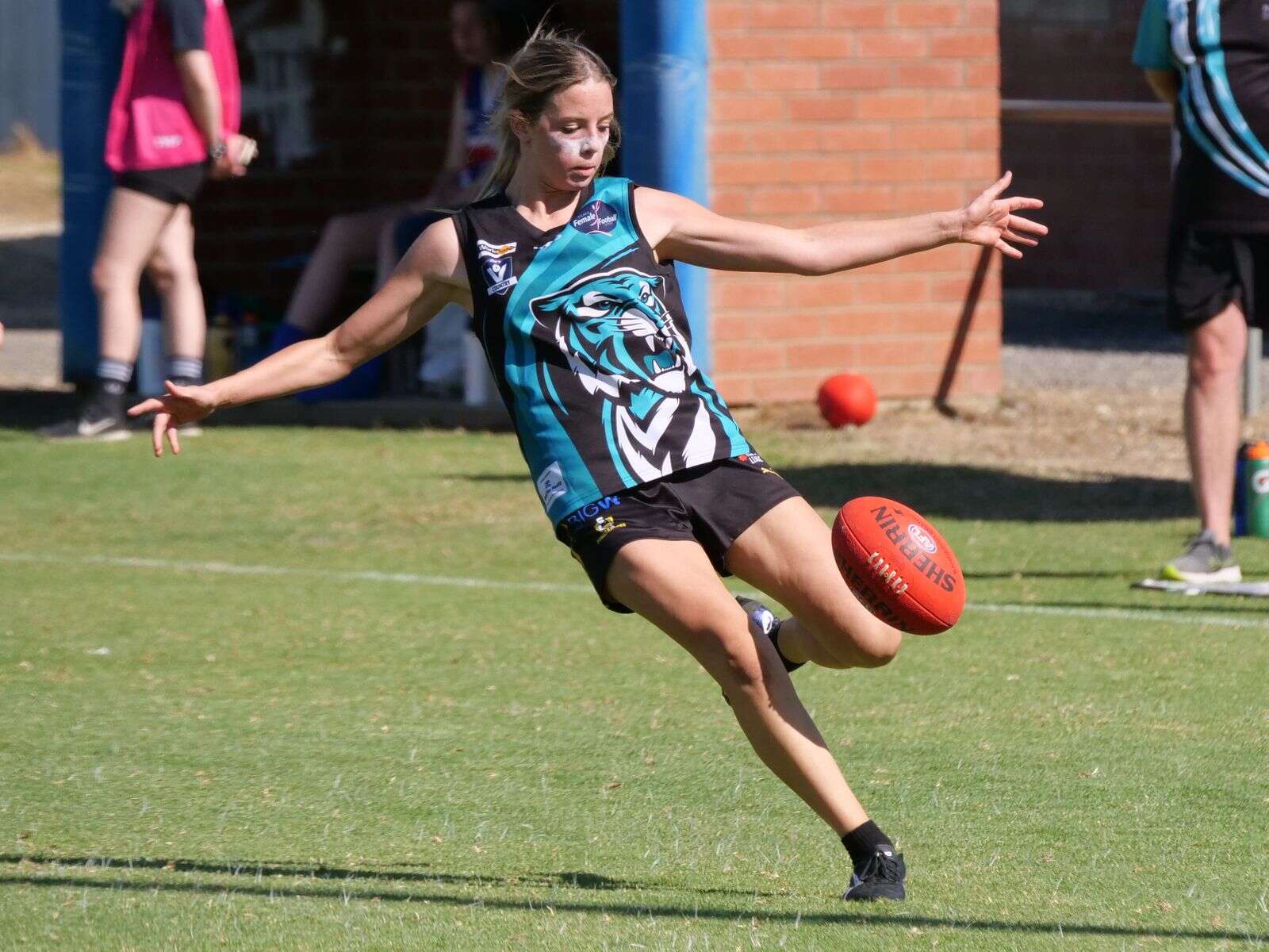 From little things, big things grow | Shepparton News