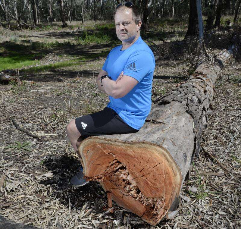 Reintroduce a tree management plan | Cobram Courier