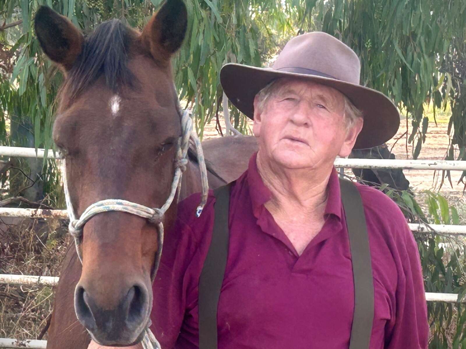 On the Grapevine | Harold: a true horse whisperer | Cobram Courier