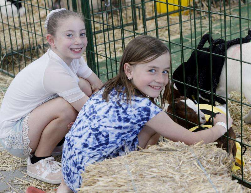 Kyabram Show ready to go | Kyabram Free Press
