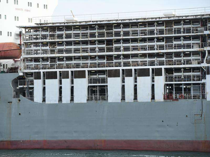 Authorities working to unload 16,500 animals from ship | Kyabram Free Press