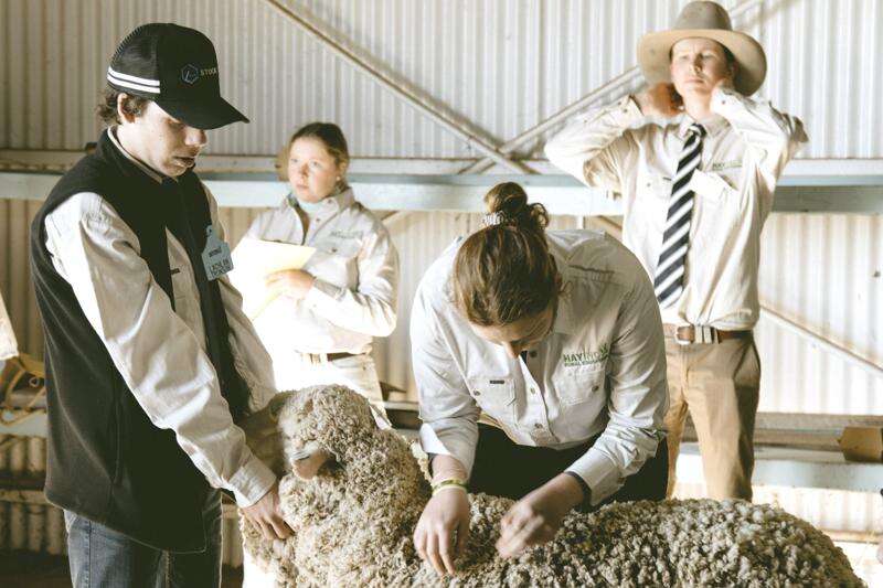 Real life training for ag students | Deniliquin Pastoral Times