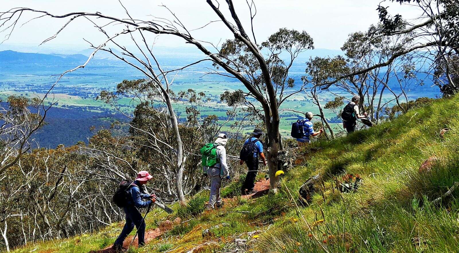Bushwalking around north-east in spring | Benalla Ensign
