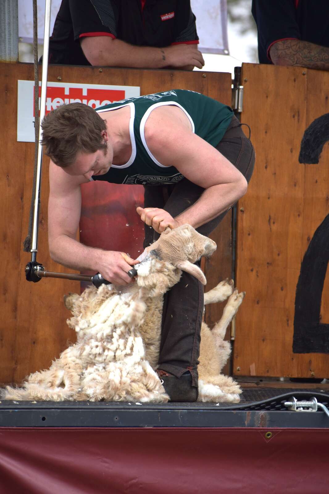 Speed Shear only weeks away | Shepparton News