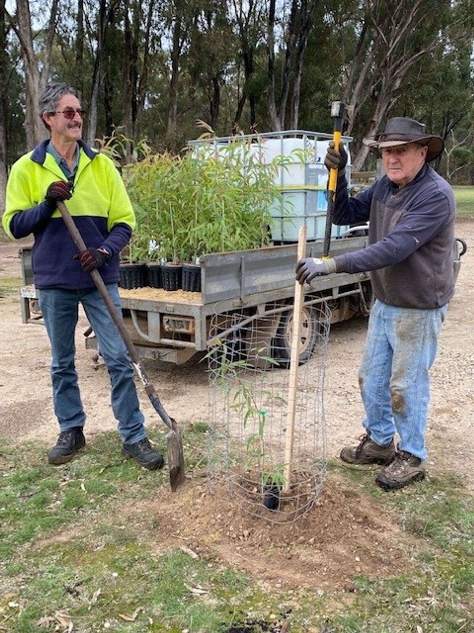 Helping koalas out of the bunker | Shepparton News
