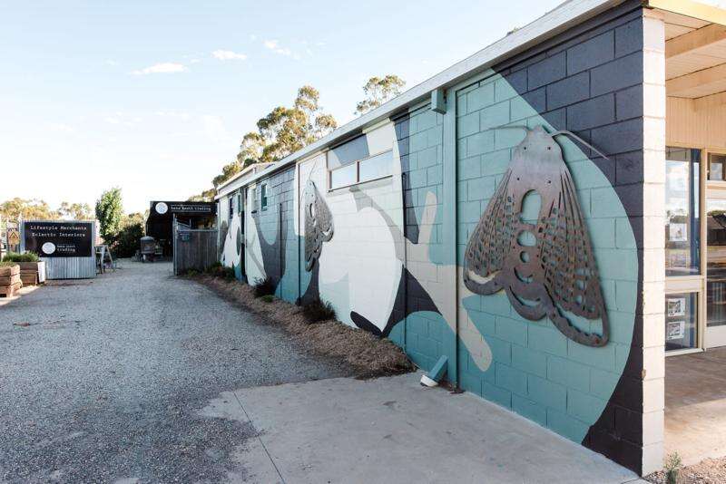 Town mural attracts attention | Shepparton News