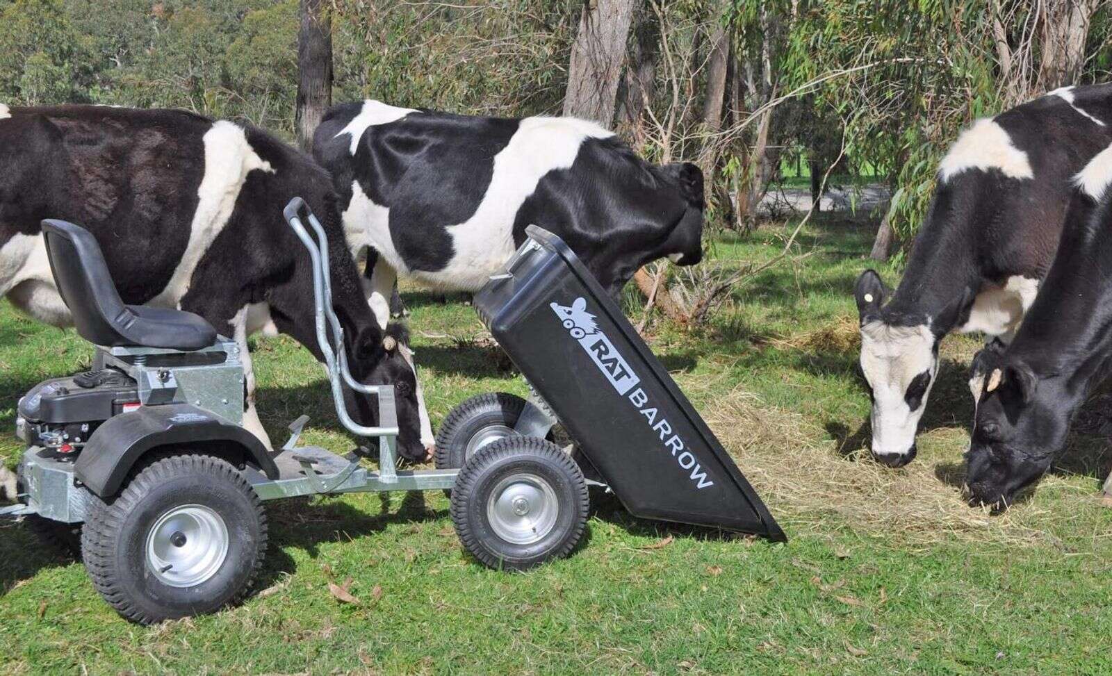 Roll out the RAT Barrow | Dairy News Australia