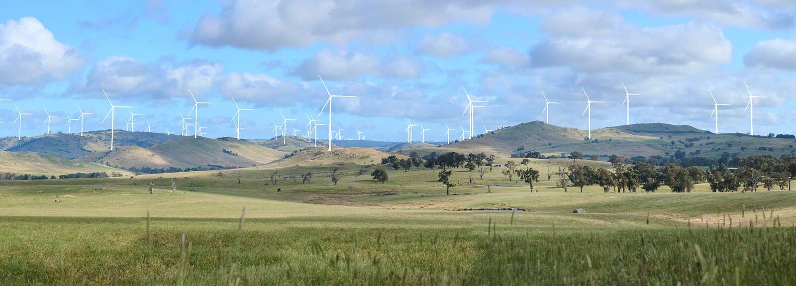 Strathbogie residents rally on wind farm proposal | Seymour Telegraph