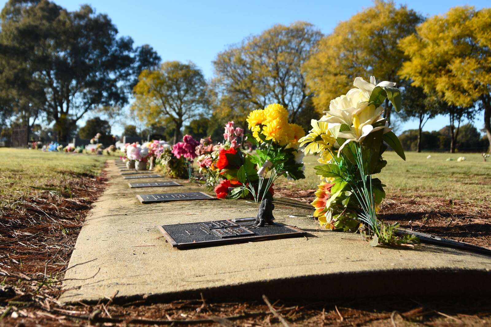 Council launches groundbreaking digital cemetery collection | Benalla ...