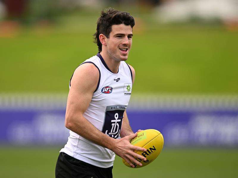 Freo AFL faith paying off for Brayshaw | Country News