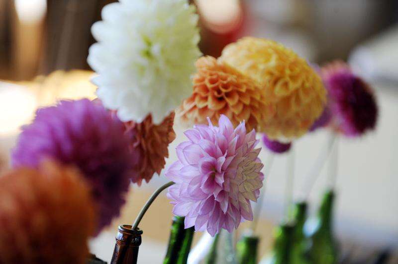 Weekend in full bloom | Shepparton News