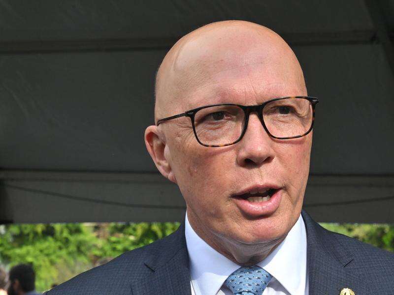 Dutton faces eject button as dogfight for seat tightens | Shepparton News
