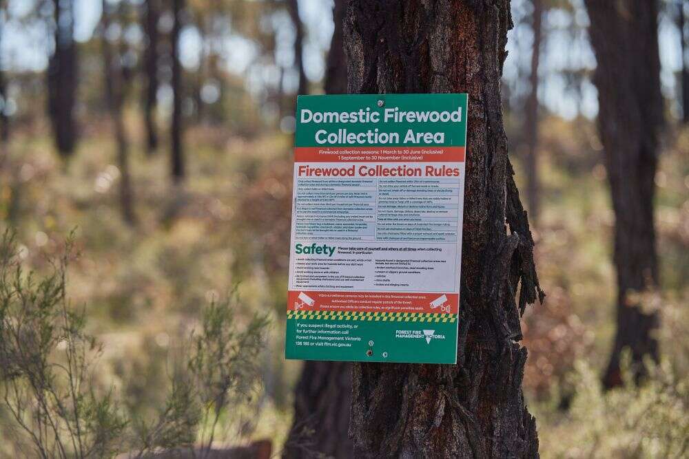 Discover free firewood collection spots before supplies run out ...
