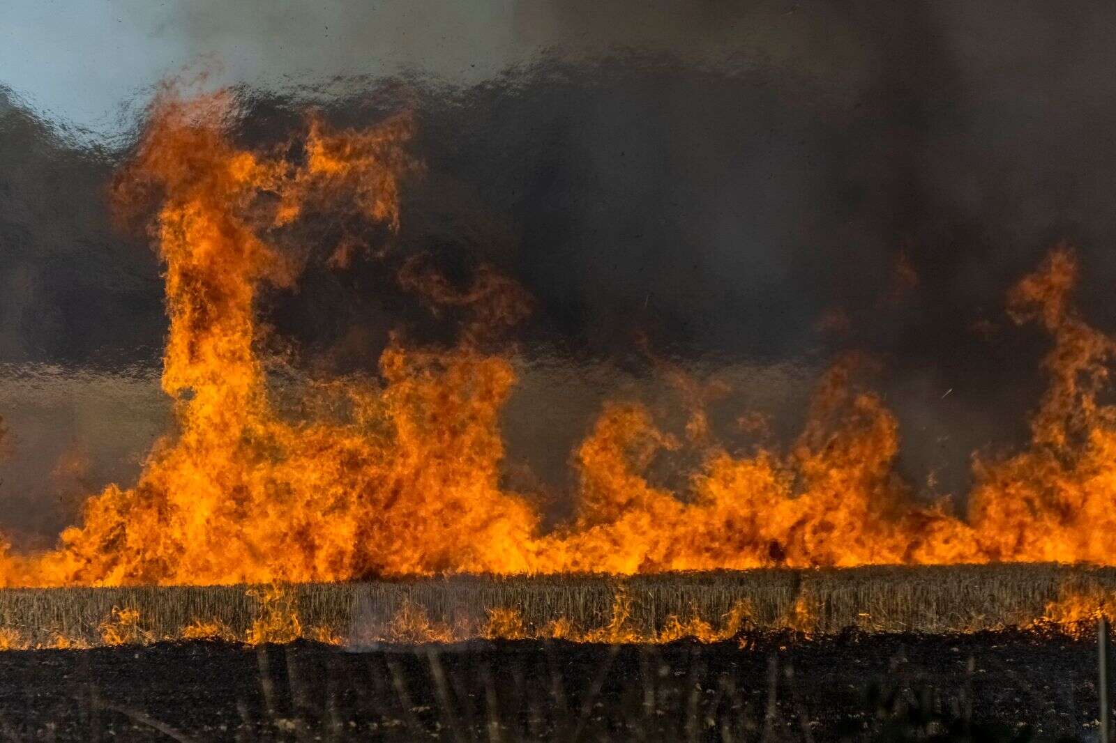 Fire restrictions announced for Benalla | Shepparton News