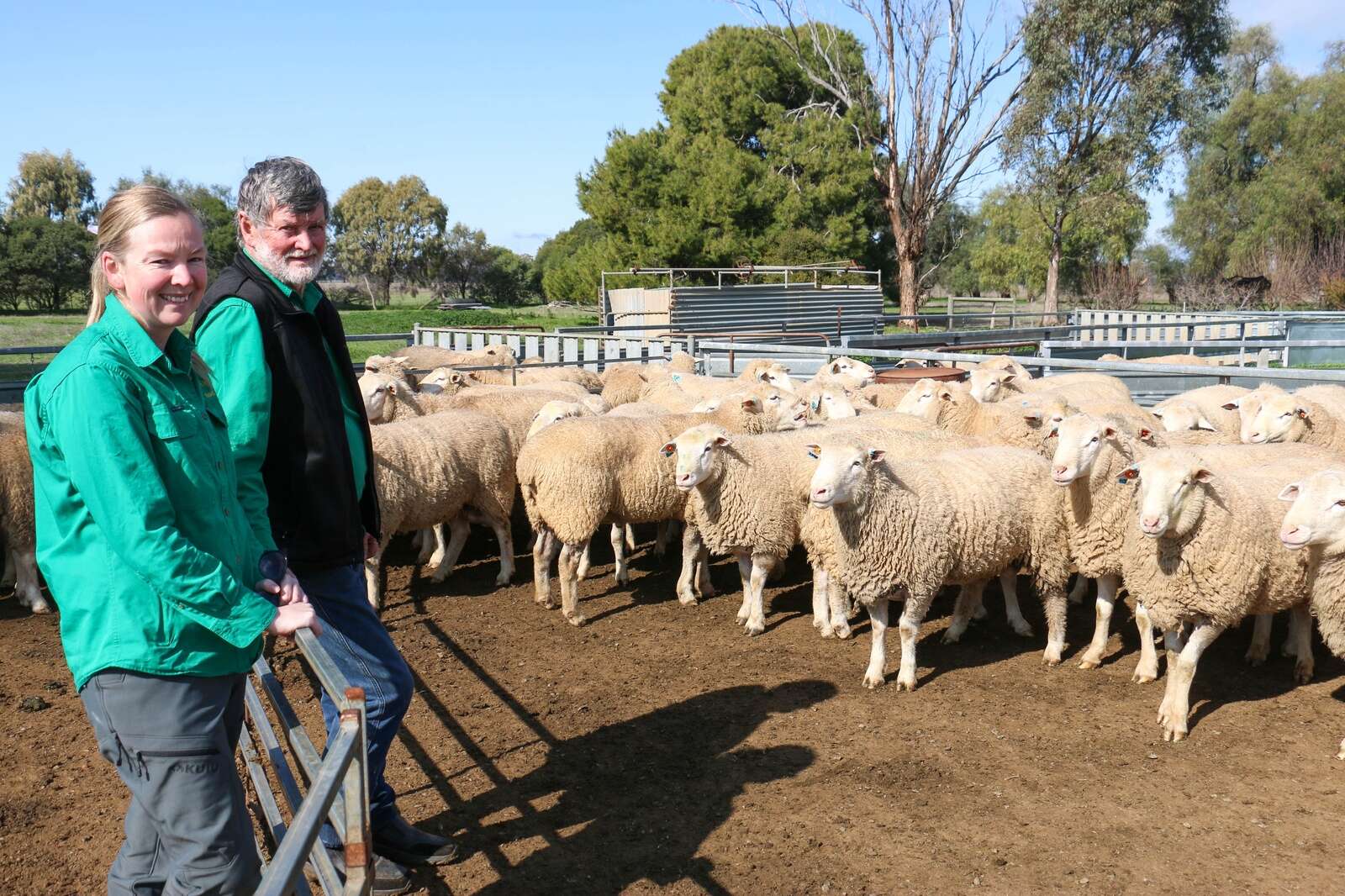 Pepperton is kicking goals with genetics | Country News