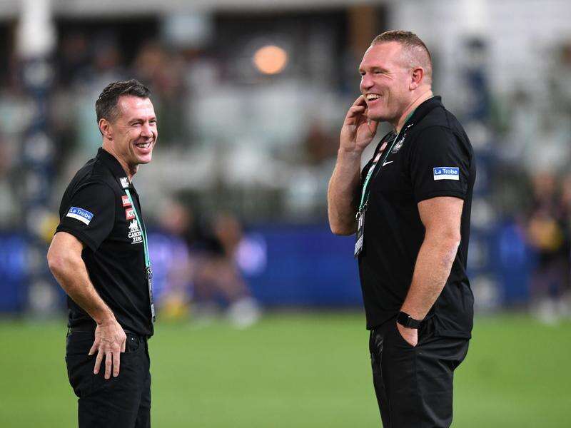 McRae prepared for Tiger interest in assistant coaches | Dairy News ...