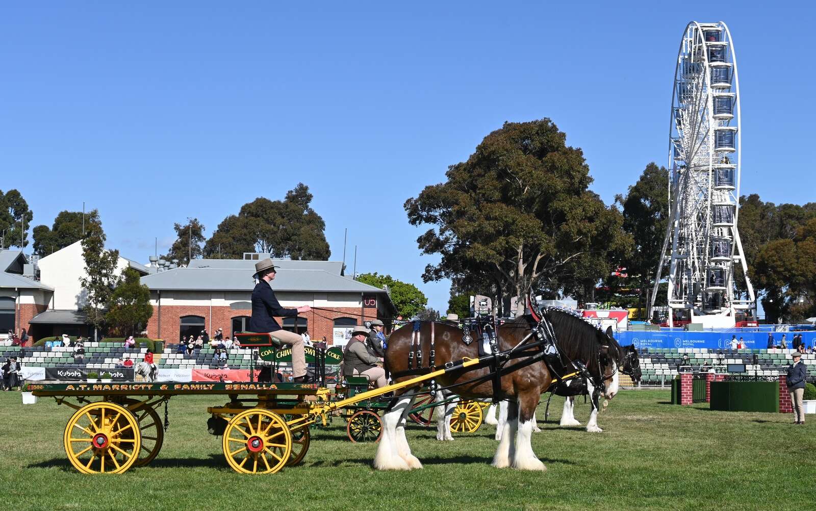Shined up for the show | Shepparton News