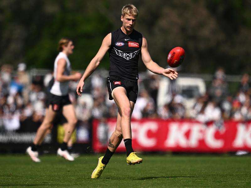 Magpie Frampton delights in grand final elevation | Riverine Herald