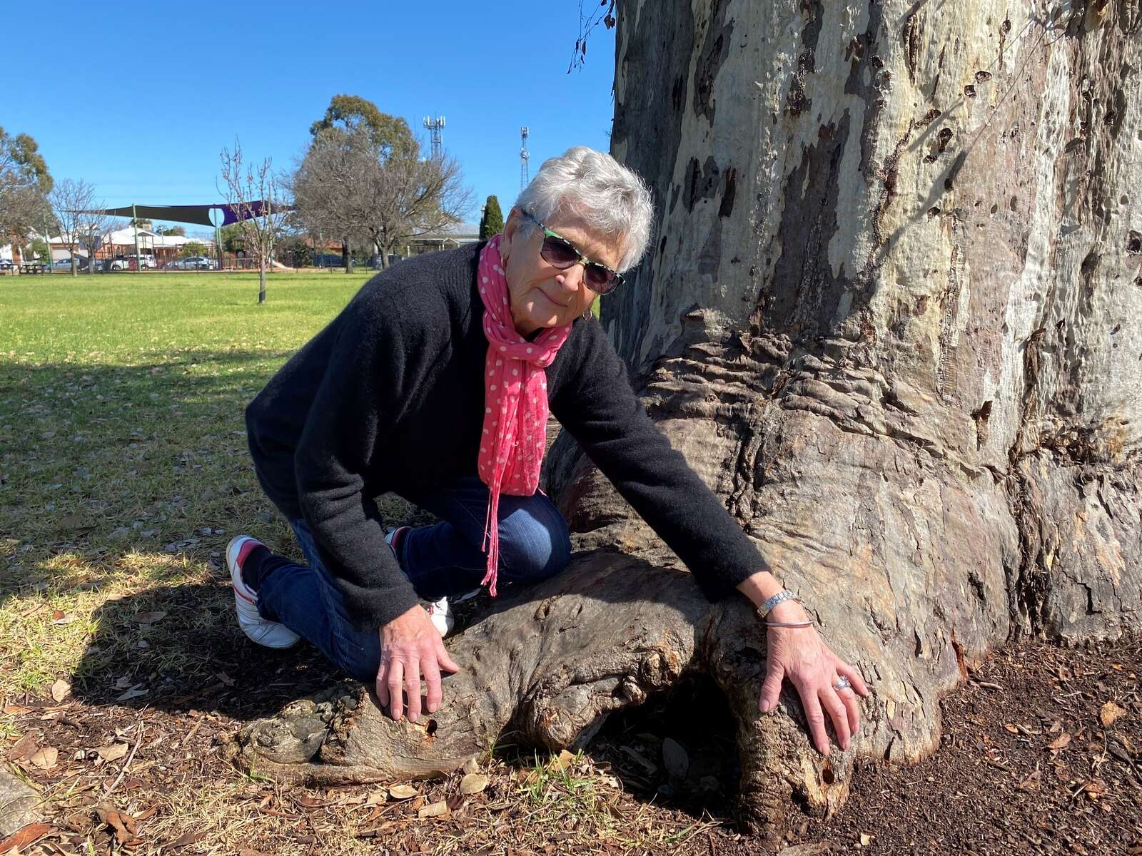 Residents concerned over park trees | Riverine Herald