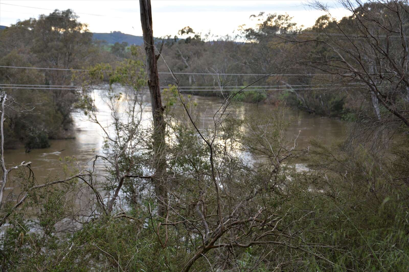 Goulburn Valley Water to release treated wastewater | Dairy News Australia