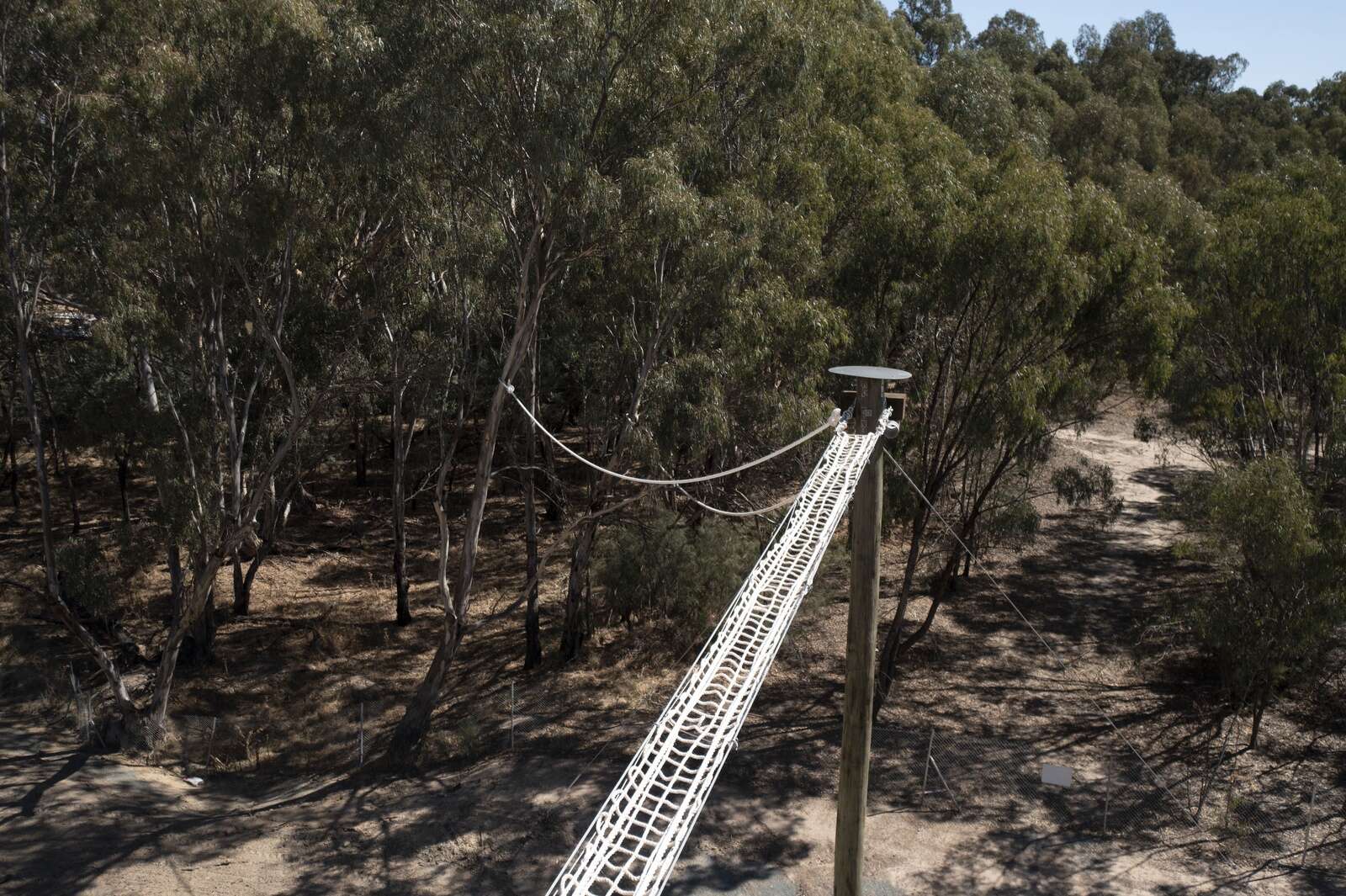 High-wire act suiting wildlife | Country News