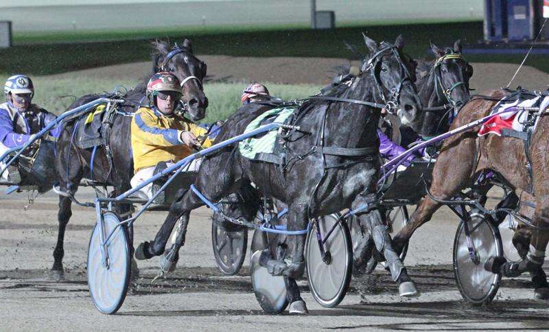 Shepparton Harness Racing Club fundraiser for MND | Shepparton News