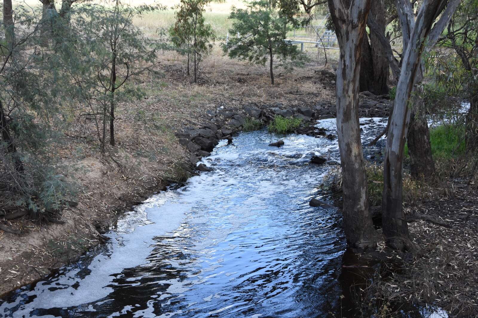 Breaking up blackwater in the Broken Creek | Cobram Courier