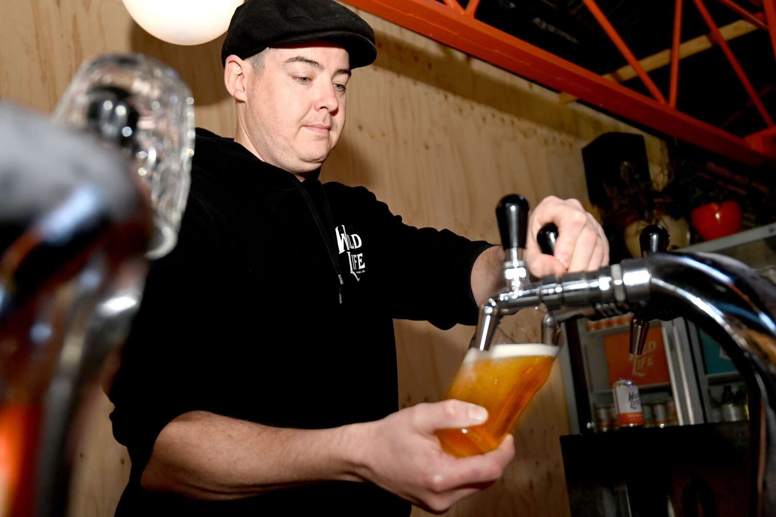 Wild Life Brewing navigating the wild side of business and beer ...