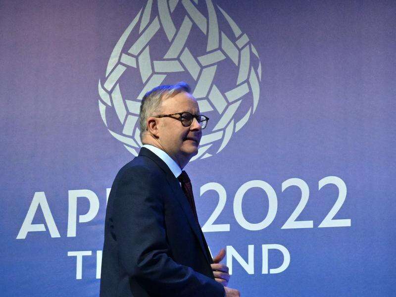 Australia is back at world table: Albanese | Country News