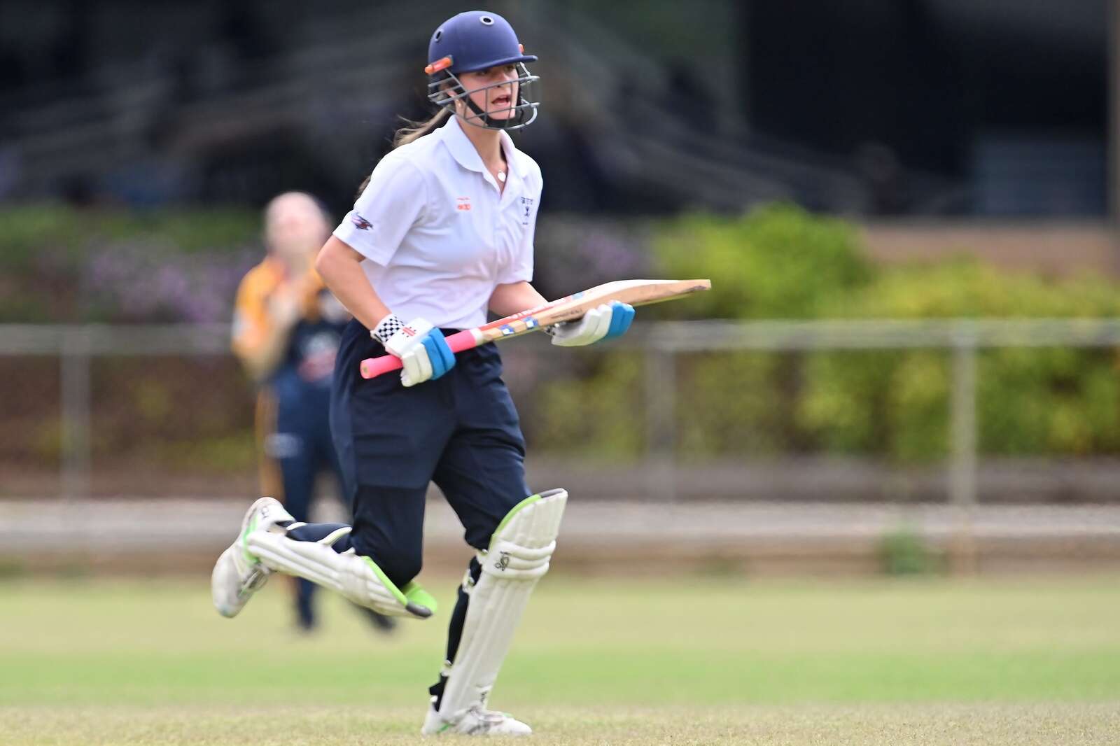 Gallery | GMC Cats keep clawing and climbing | Shepparton News