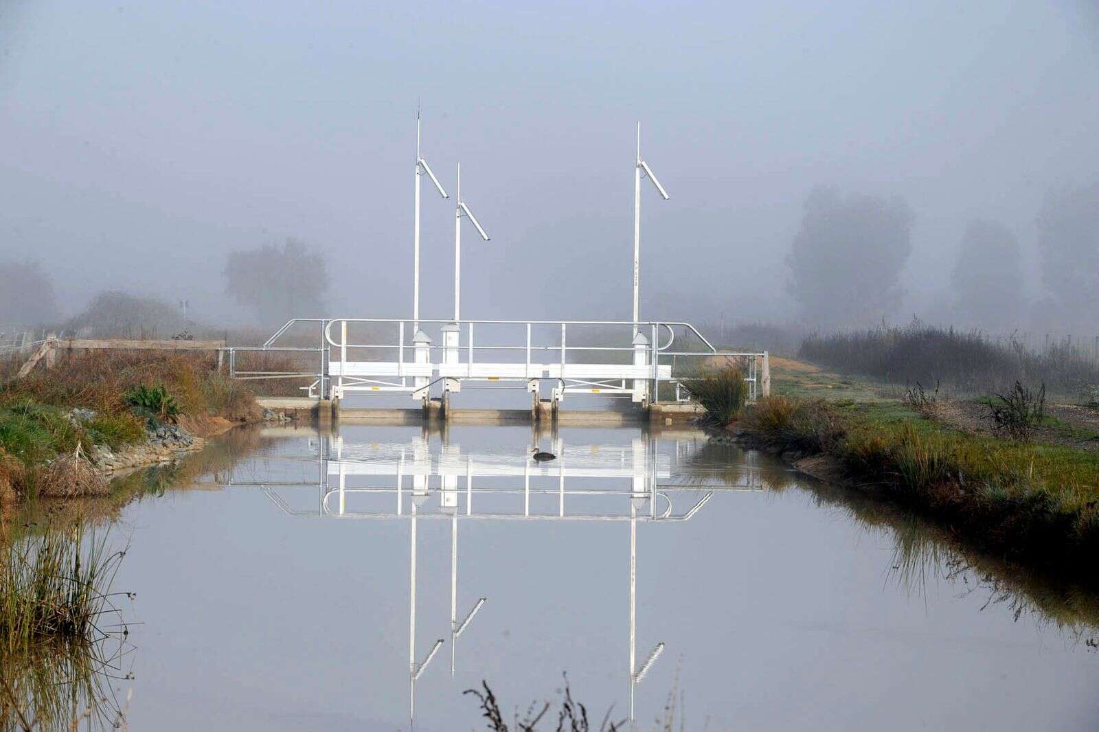 Murray system scores low-reliability water | Country News