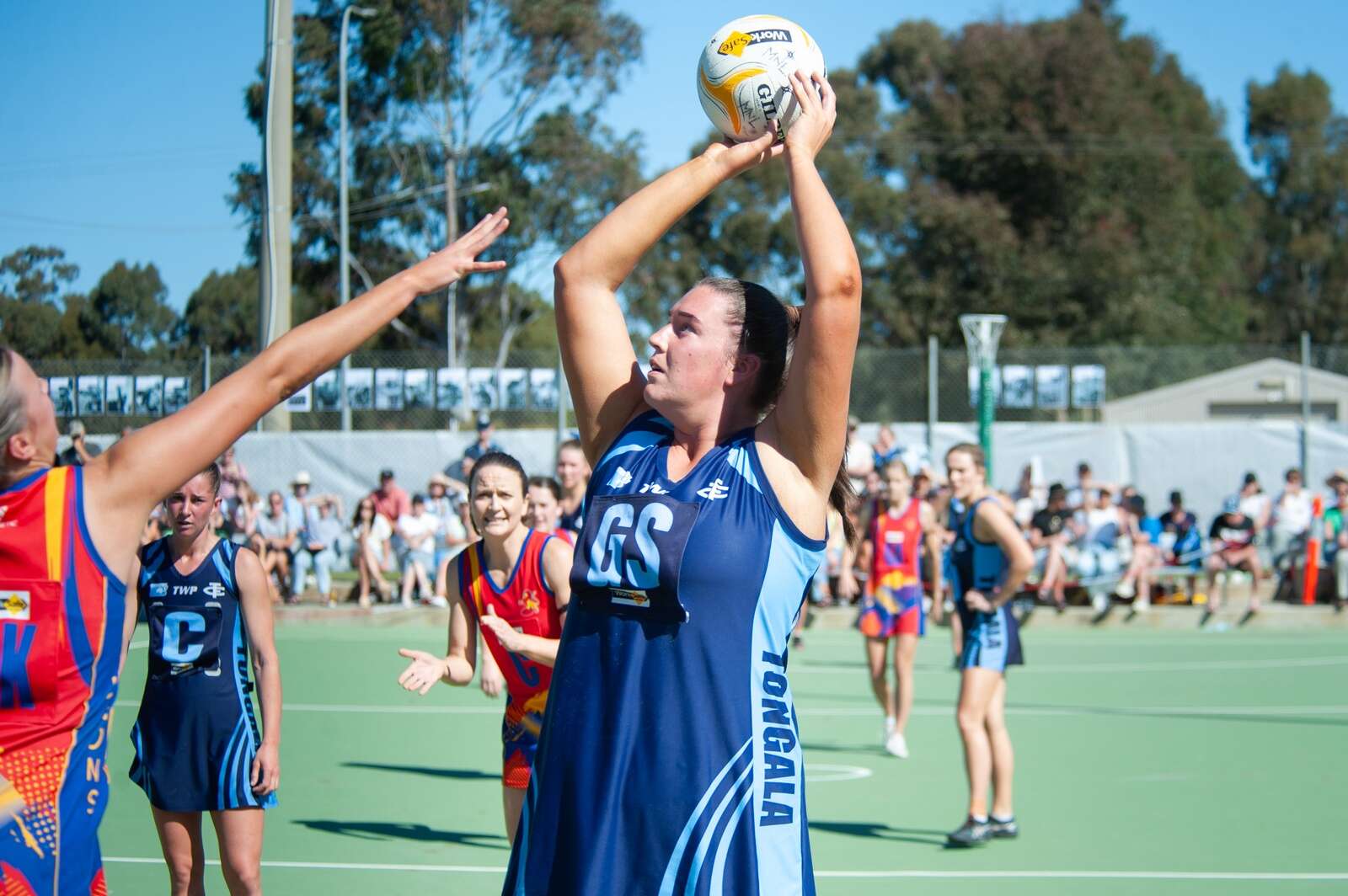 Champion Blues to begin title defence | Country News