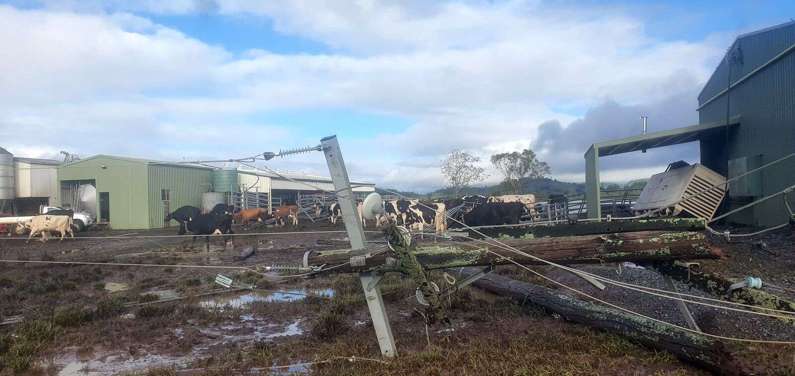 The long road to recovery | Dairy News Australia