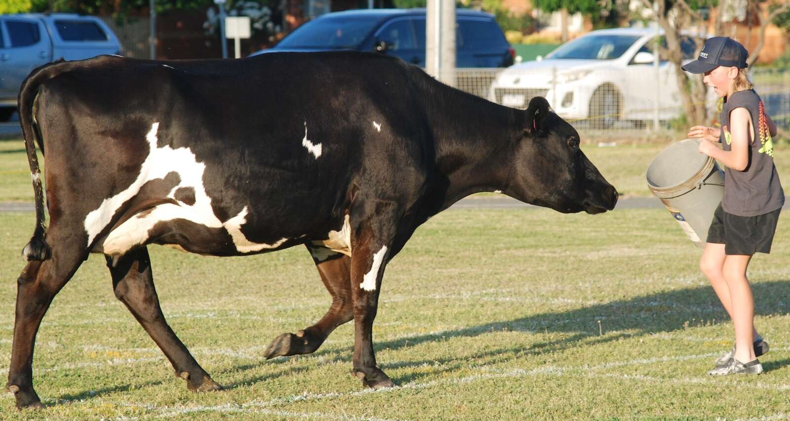 Long wait Cow Pat Lotto winner | Kyabram Free Press